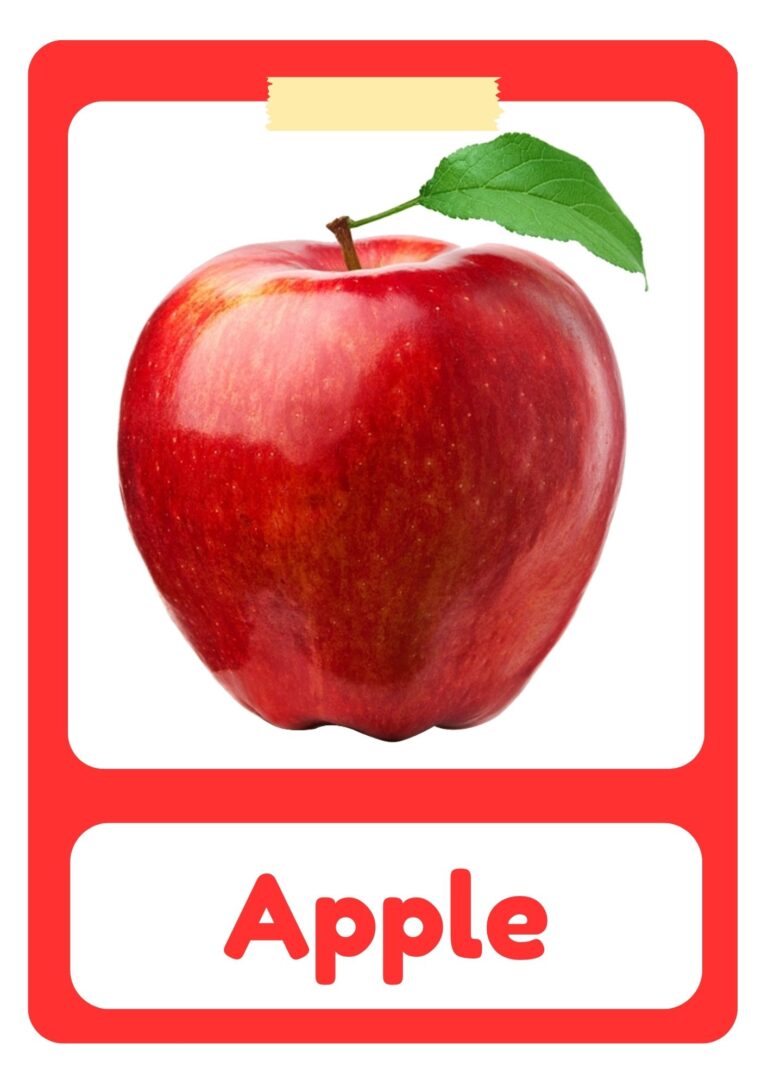 Flashcards – kidsburrow.com