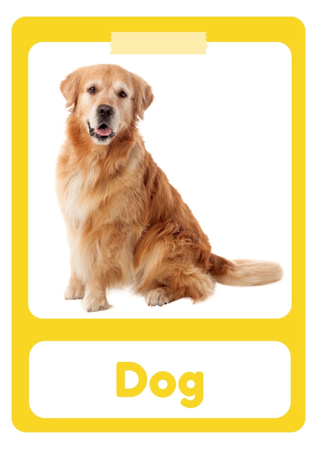 Flashcards – kidsburrow.com