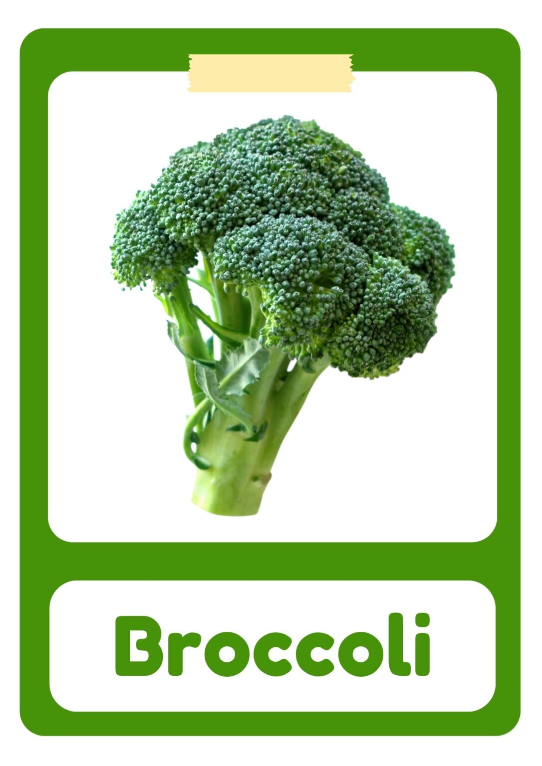 Vegetables Flashcards – kidsburrow.com