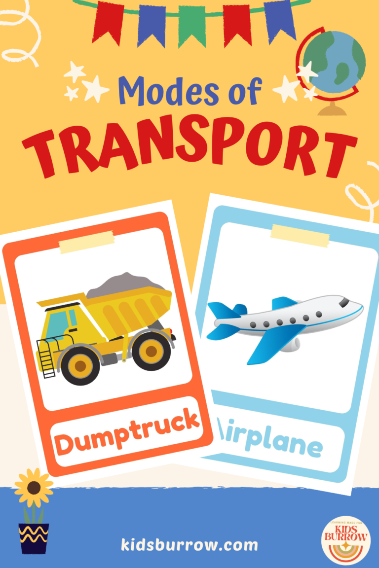 Transport – kidsburrow.com